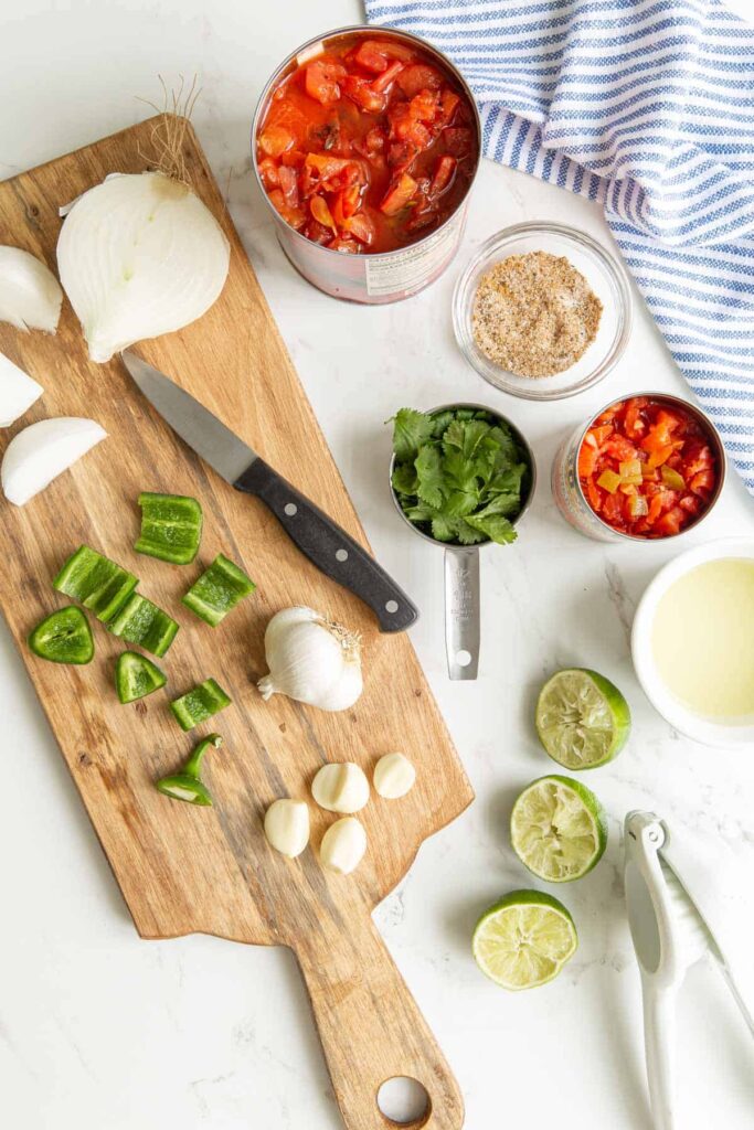 Blender Salsa | The Blond Cook